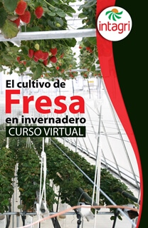 Curso virtual: El Cultivo de Fresa en Invernadero - Inicio | Intagri S.C.